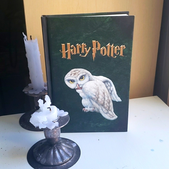 Scholastic | Office | Scholastic Harry Potter Hedwig Notebook | Poshmark
